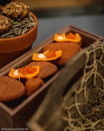 Est Restaurant, Tasting Menu & Cocktail Restaurant in Toronto