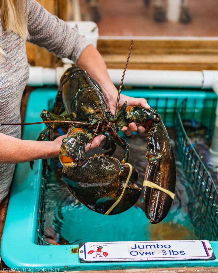 Nova Scotia Lobster: 20+ Ways To Enjoy Lobster in Nova Scotia
