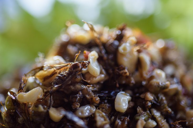 Exotic Filipino Food - 10 Bizarre Filipino Dishes for the Adventurous Eater