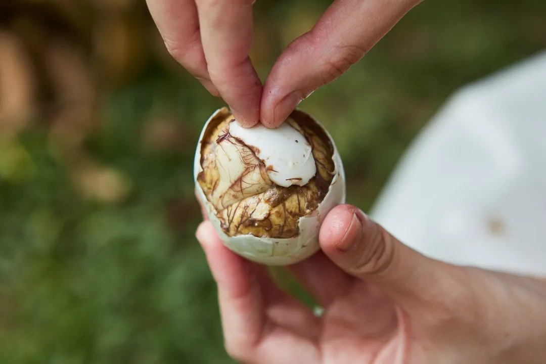 Exotic Filipino Food - 10 Bizarre Filipino Dishes for the Adventurous Eater