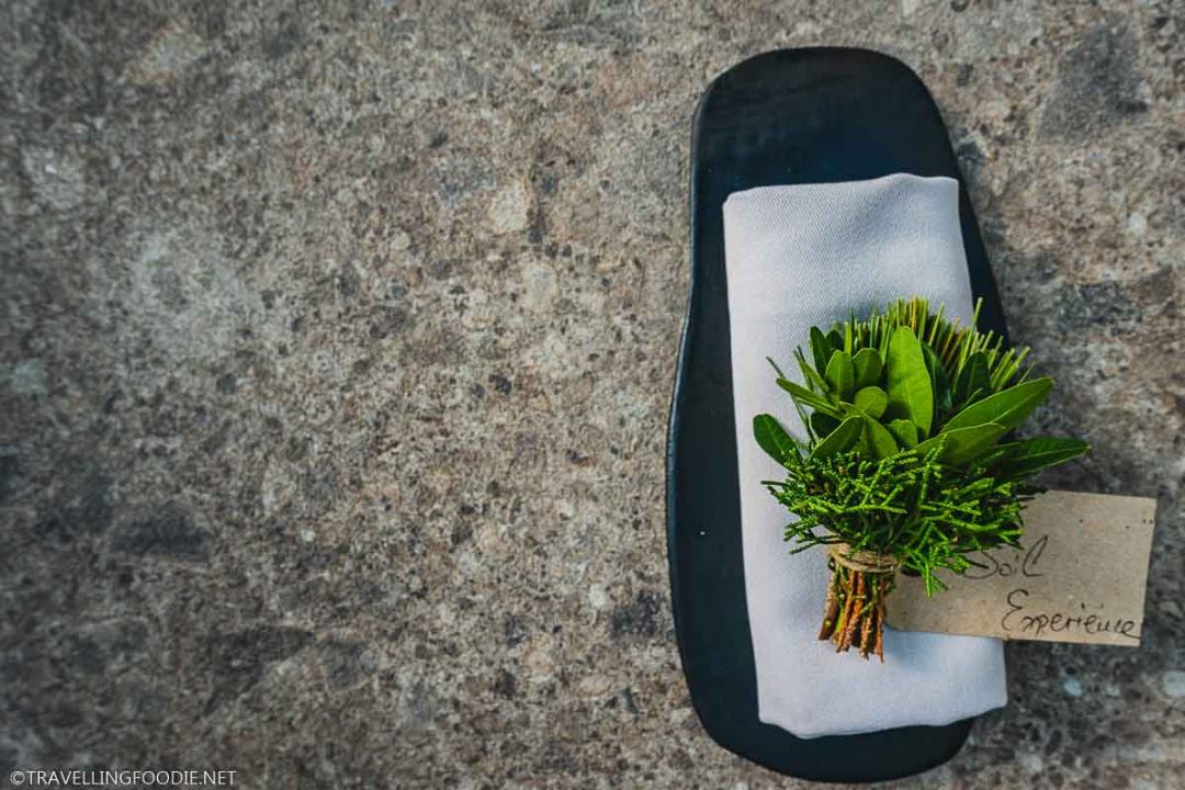 Soil Athens - One Michelin Star and Green Star Restaurant (With Video ...