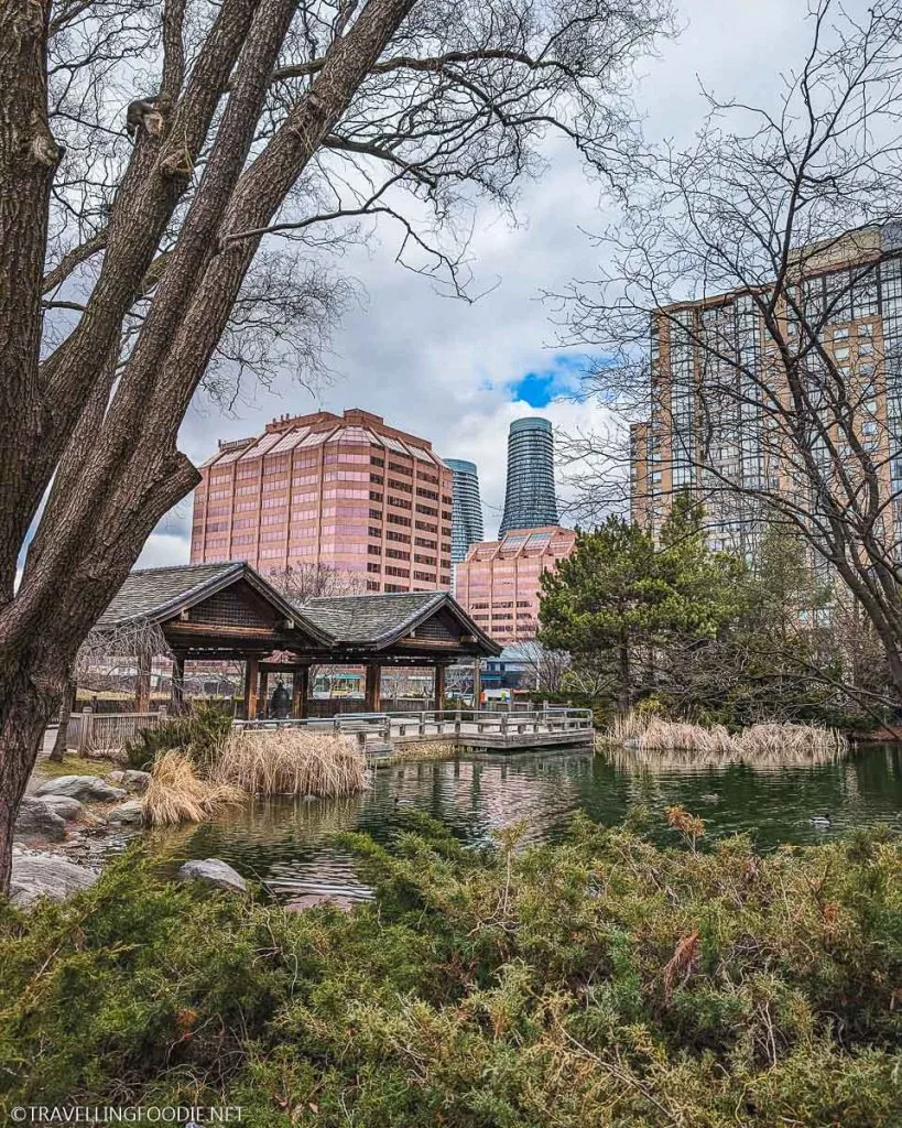 5 Unique Mississauga Restaurants You Must Try (With Video) - Travelling ...