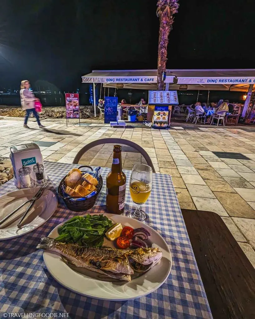 Bodrum, Turkey Travel Guide - How To Plan The Perfect Trip (With Video)