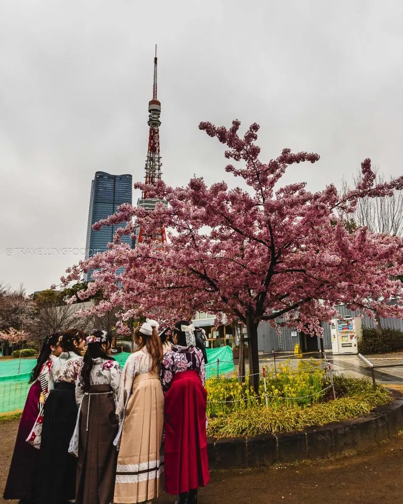 Shiba Tokyo Travel Guide and Vacation Tips for First Timers ...