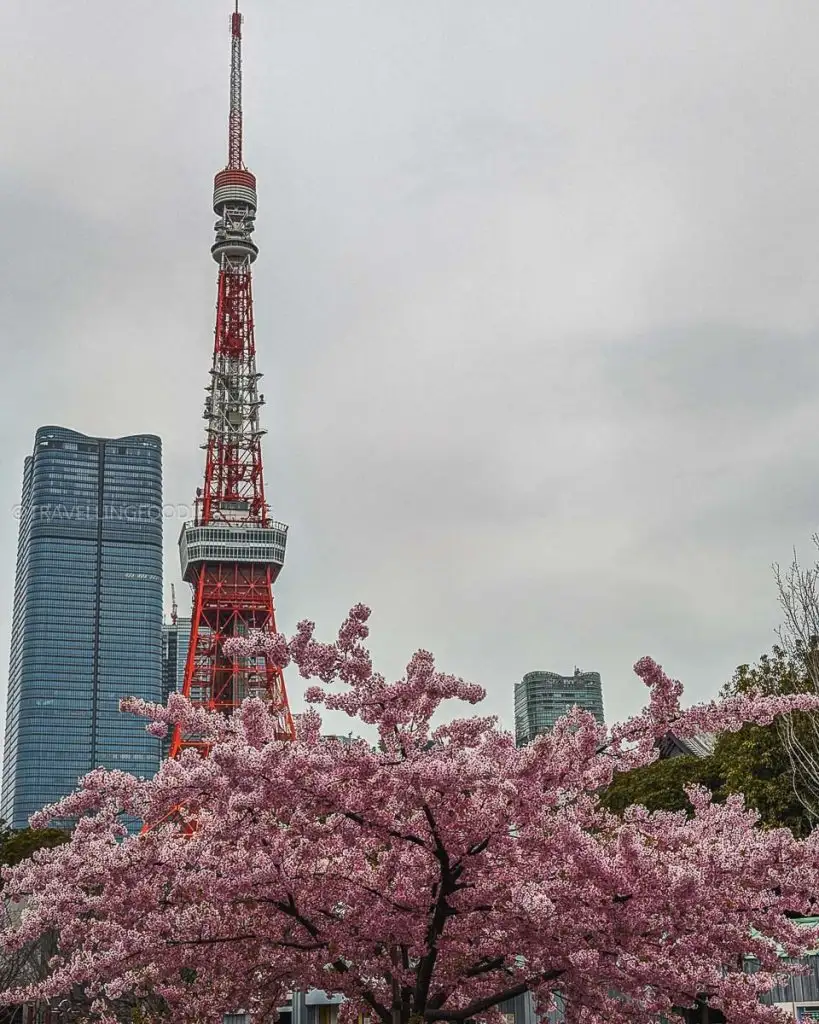 Shiba Tokyo Travel Guide and Vacation Tips for First Timers ...