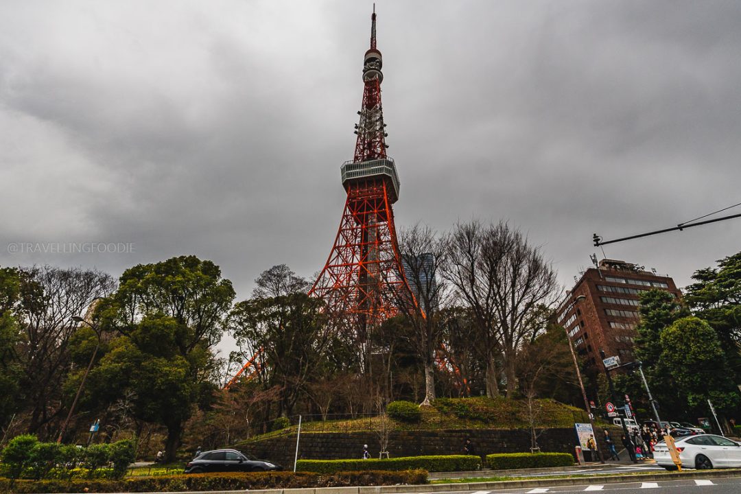 Shiba Tokyo Travel Guide and Vacation Tips for First Timers ...