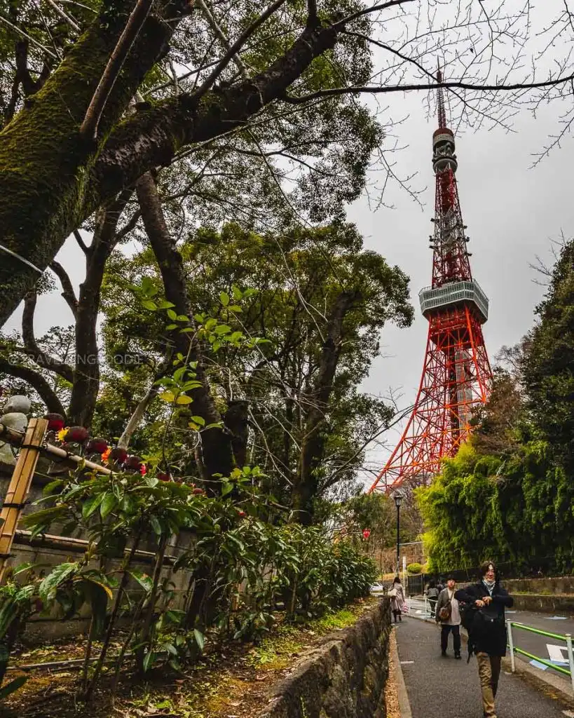 Shiba Tokyo Travel Guide and Vacation Tips for First Timers ...