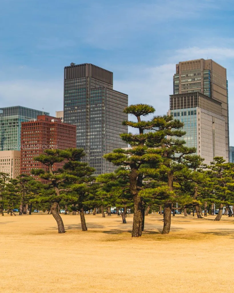 Best Things To Do in Tokyo: Must-See Places To Visit on Your First Trip ...