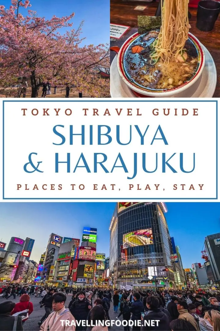 Shibuya, Tokyo Travel Guide - Vacation Tips for First Timers ...