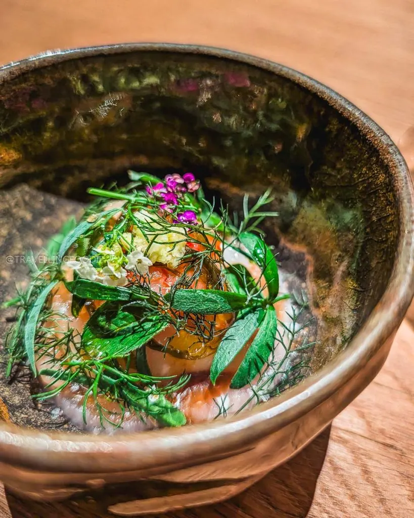 Moebius Sperimentale - Michelin Star Tasting Menu Restaurant in Milan ...