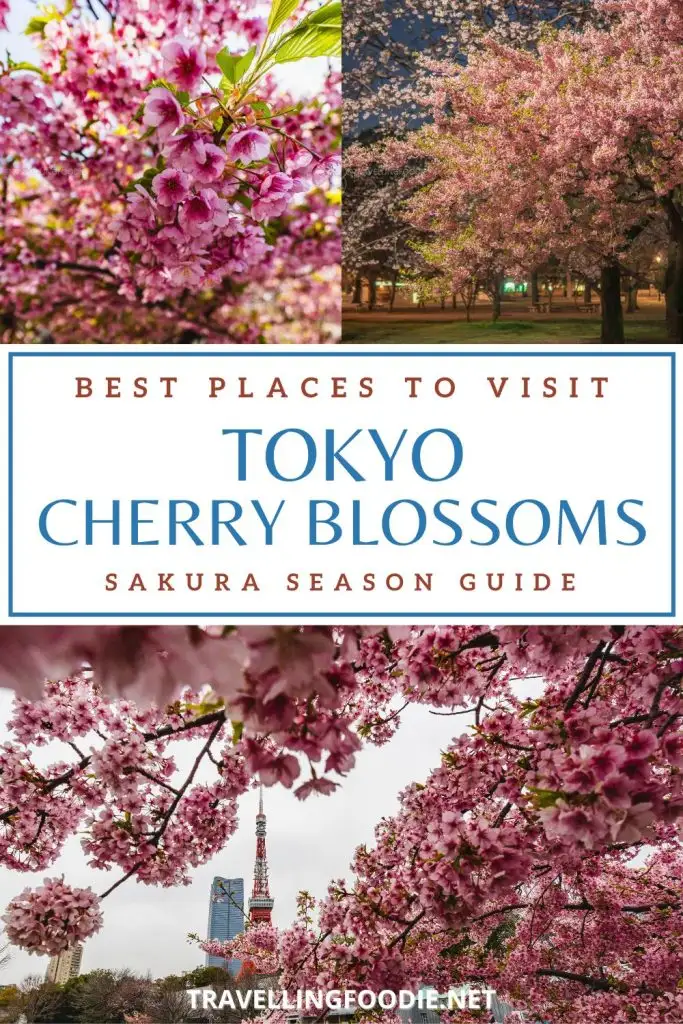 Best Tokyo Cherry Blossom Spots: Where to See Sakura in Spring ...